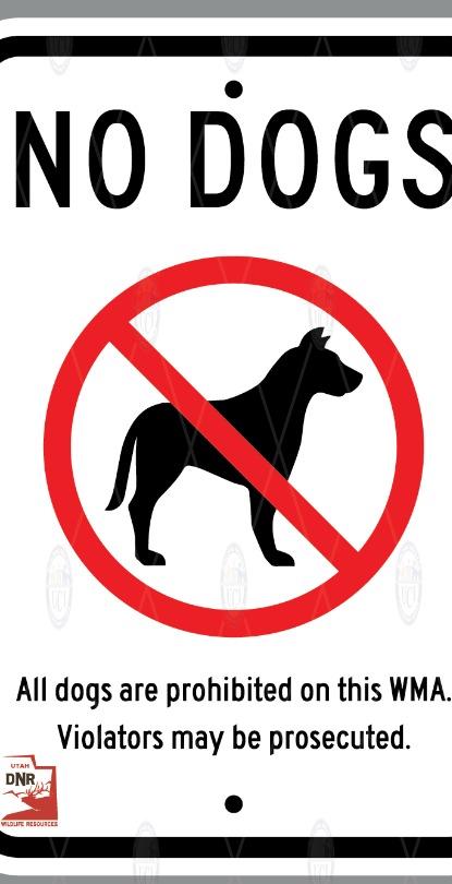 Littering an Issue at Old Fort Ponds in Uintah County | Basin Now