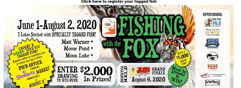 ‘Fishing With The Fox’ Contest: Don’t Miss This Step! | Basin Now