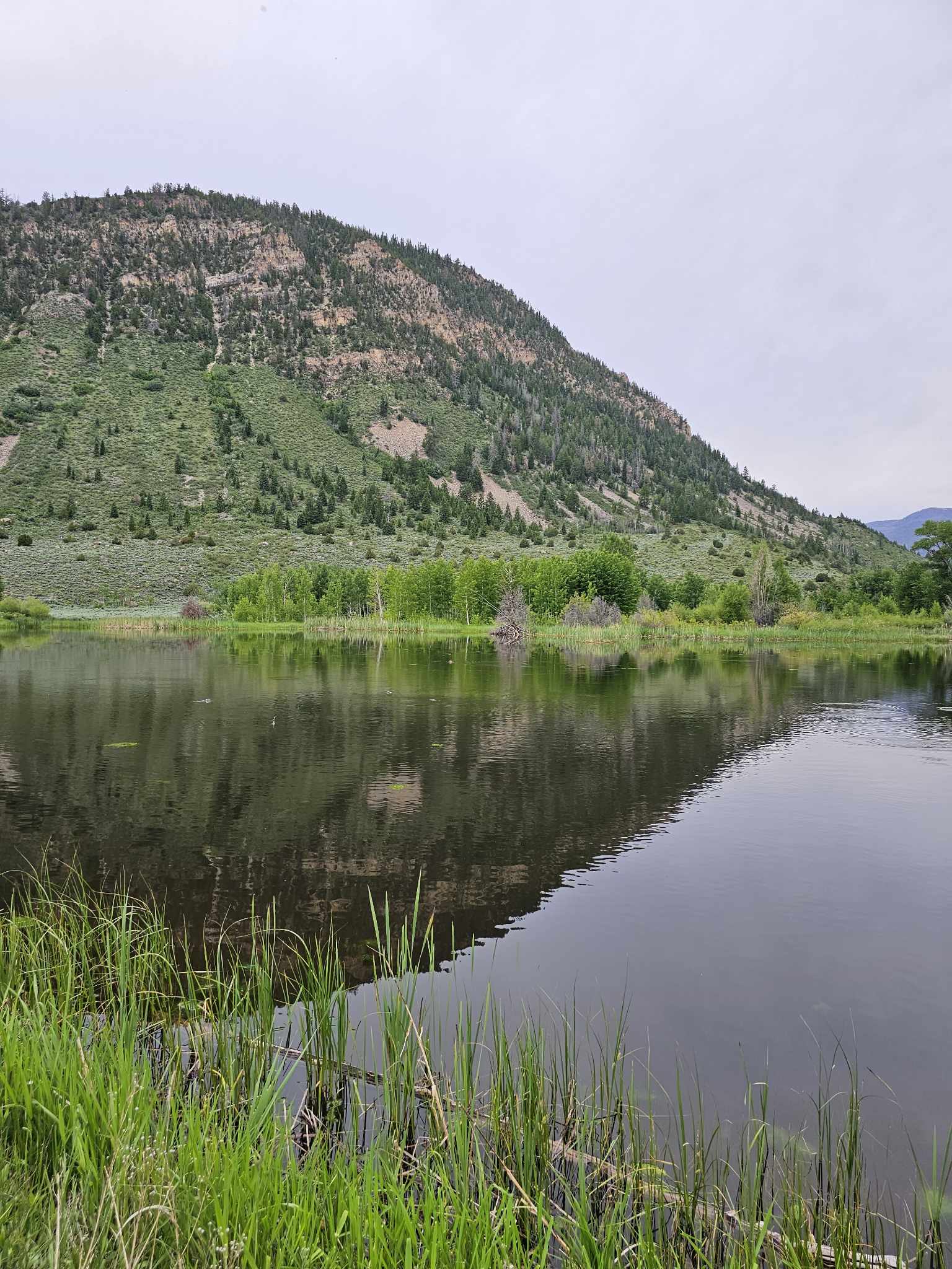 Basin Now | The Basin's Digital Newspaper