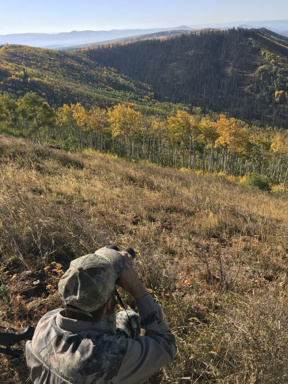 DWR: Changes To Big Game Hunting To Know Before Heading Out Into The ...