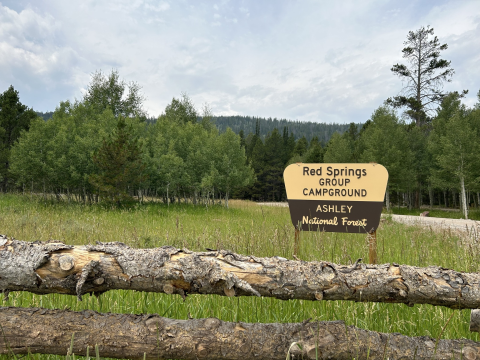 Red Springs Group Campground Reopens After Restoration | Basin Now