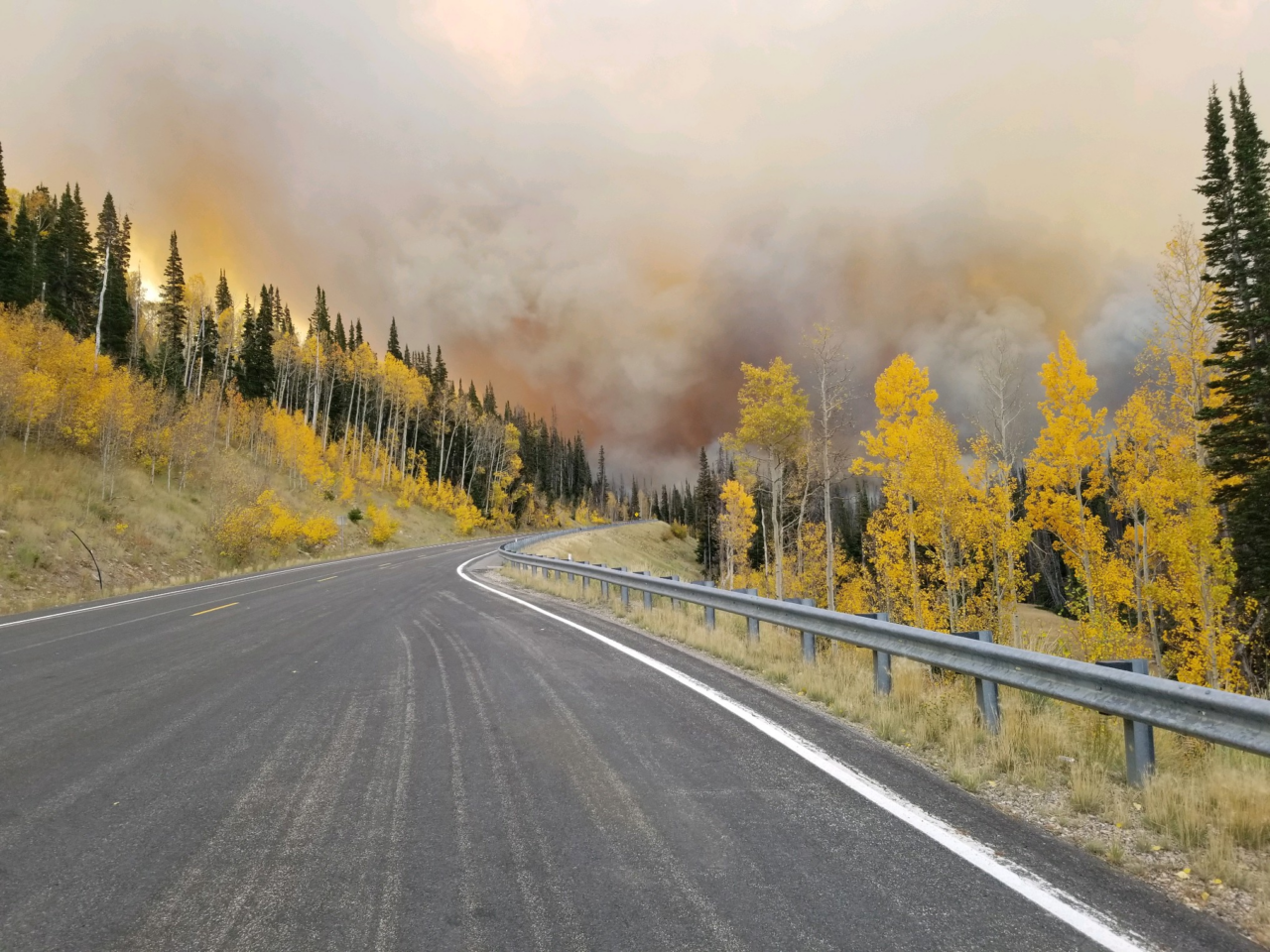 Evacuations Ordered Due To Yellow Lake Fire | Basin Now